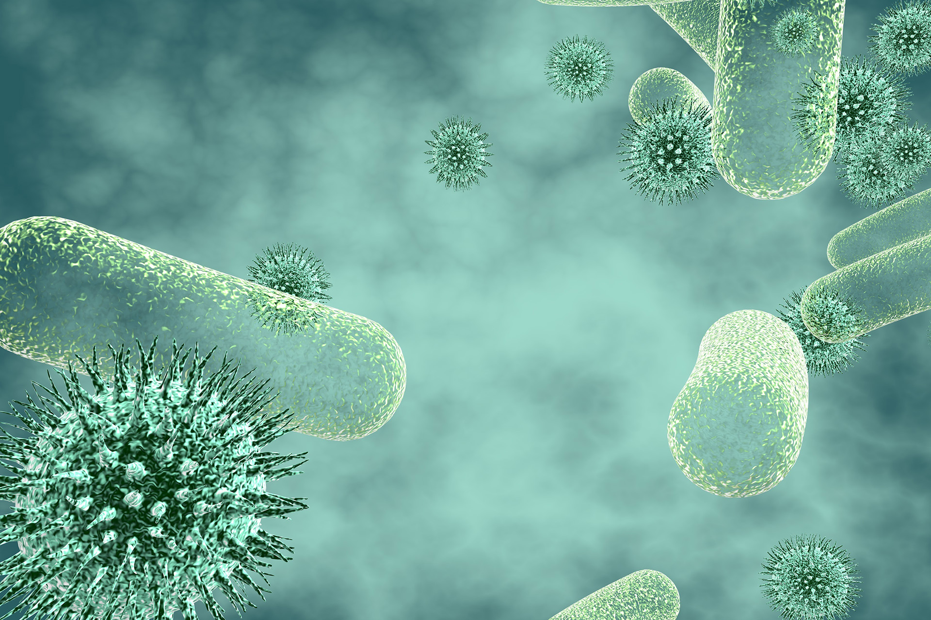 Virukset avuksi bakteerien taltuttamiseen - Luonnon-, ympäristö- ja ...