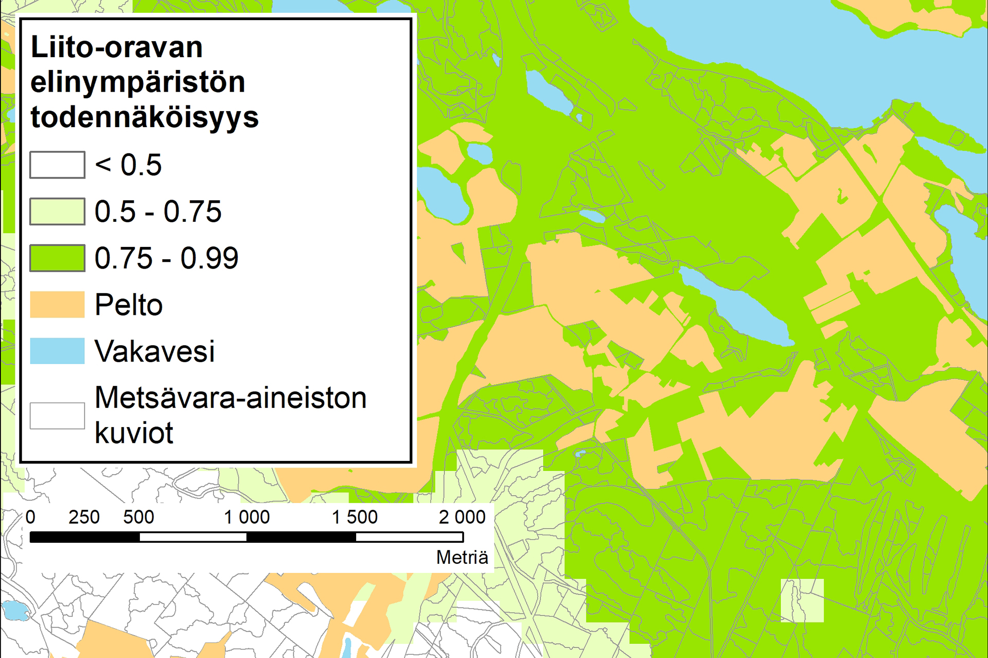Liito-orava saatiin kartalle - Luonnon-, ympäristö- ja ...
